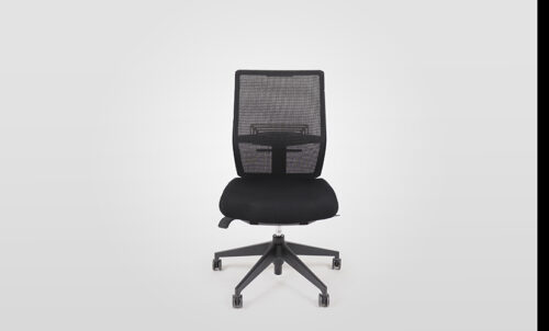 Aloha Ergonomic Task Chair Without Arms | Designer Office Chairs ...