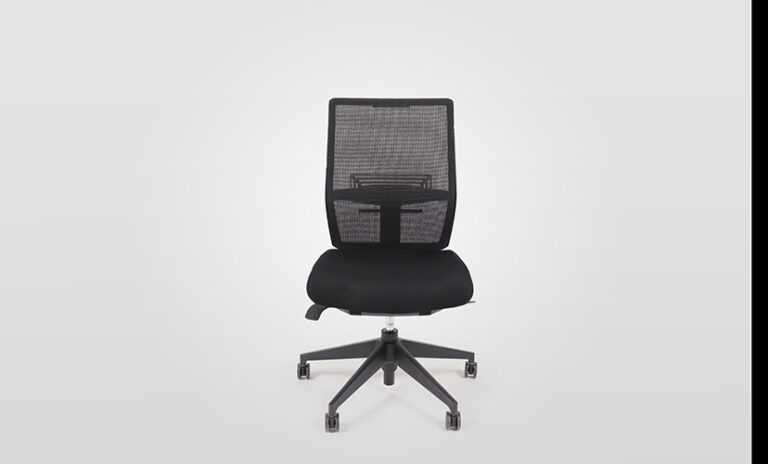 Aloha Ergonomic Task Chair Without Arms | Designer Office Chairs ...