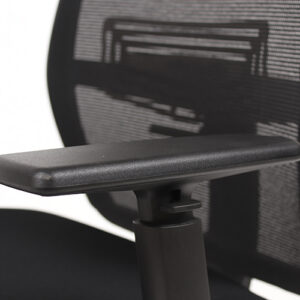Aloha Ergonomic Task Chair with 4D Arms | Designer Office Chairs ...